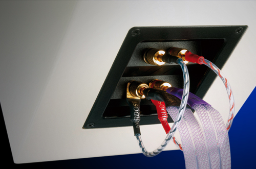 What Is Bi Wired Speakers Speakers Resources